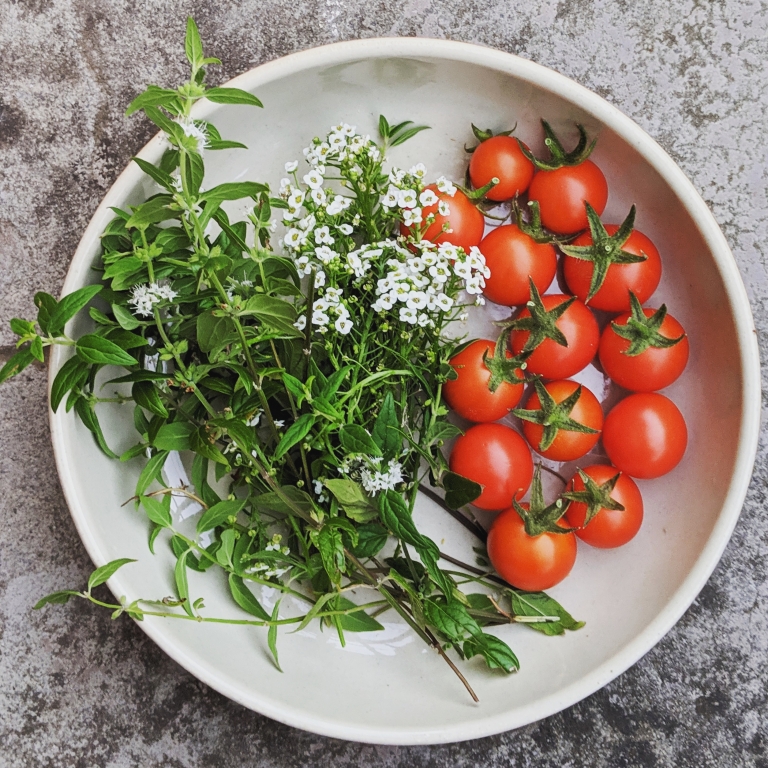 EnterViaLaundry – Dinner Party Melbourne